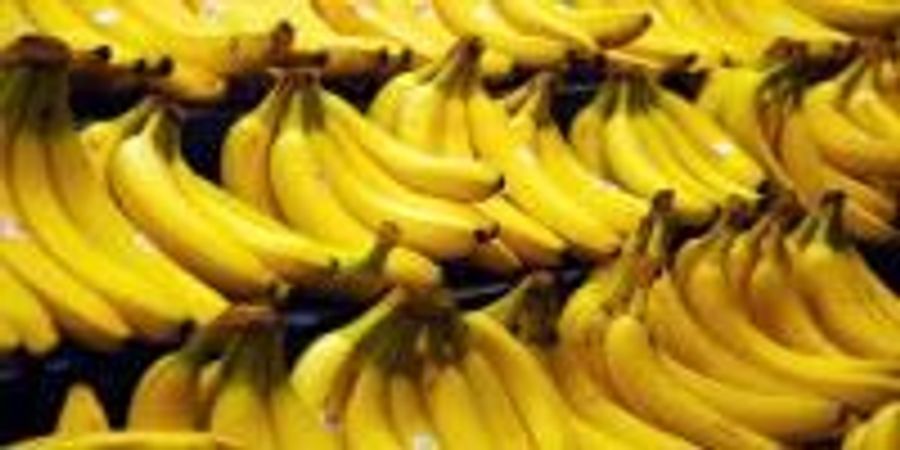 More to the Bunch: Study Finds Large Chromosomal Swaps Key to Banana ...