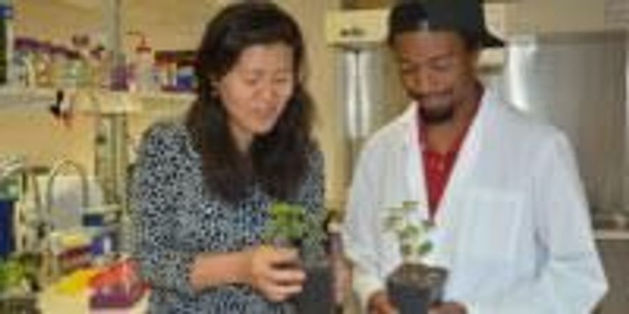 Secret Weapon of Smart Bacteria Tracked To "Sweet Tooth" | Lab Manager