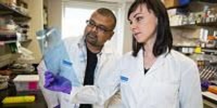 Researchers Discover First Human Antibodies That Work Against All ...