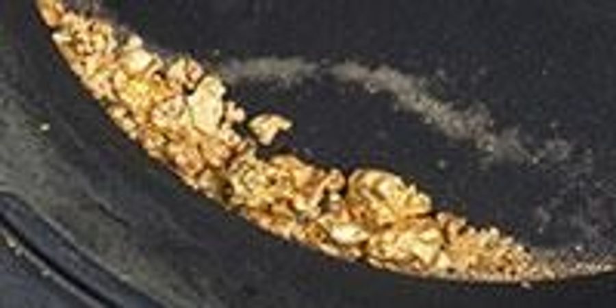 Bacteria with Midas Touch for Efficient Gold Processing | Lab Manager