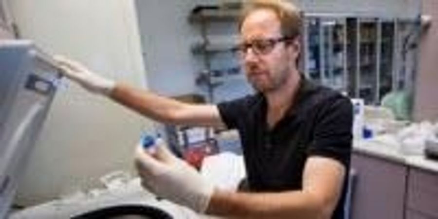 Study Shows Protein in Human Umbilical Cord Blood Rejuvenates Old Mice ...