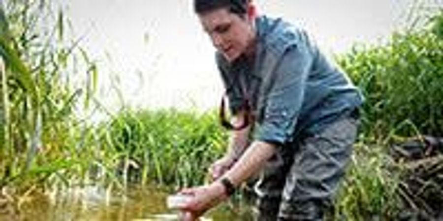 Researchers Develop Predictive Model Measuring Nitrous Oxide Emissions ...