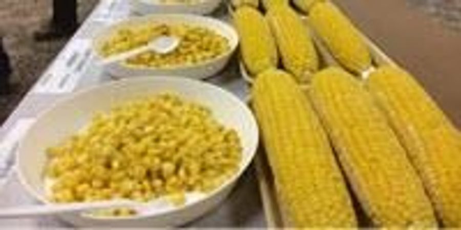 Sweet Corn Growers, Processors Could Dramatically Increase Yield ...