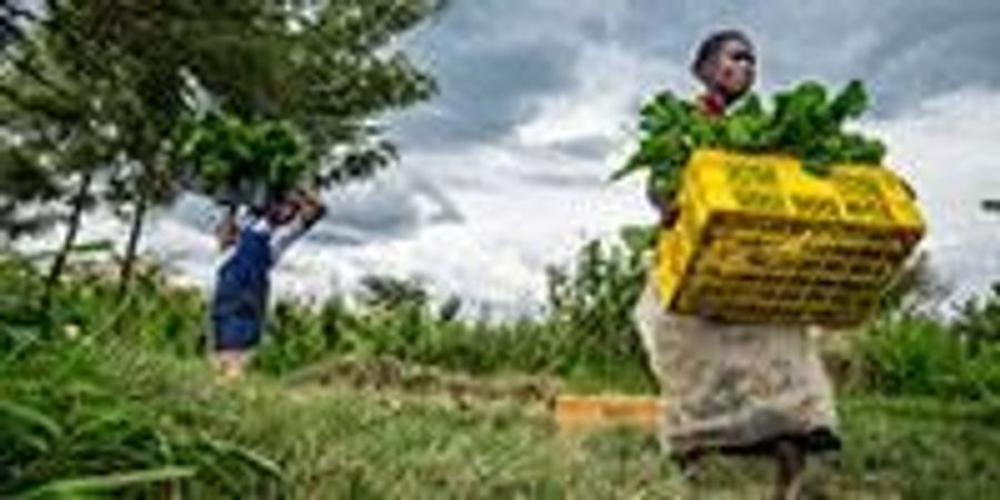 New Global Report on Food Crisis—Benchmark for Action Needed to Avoid ...