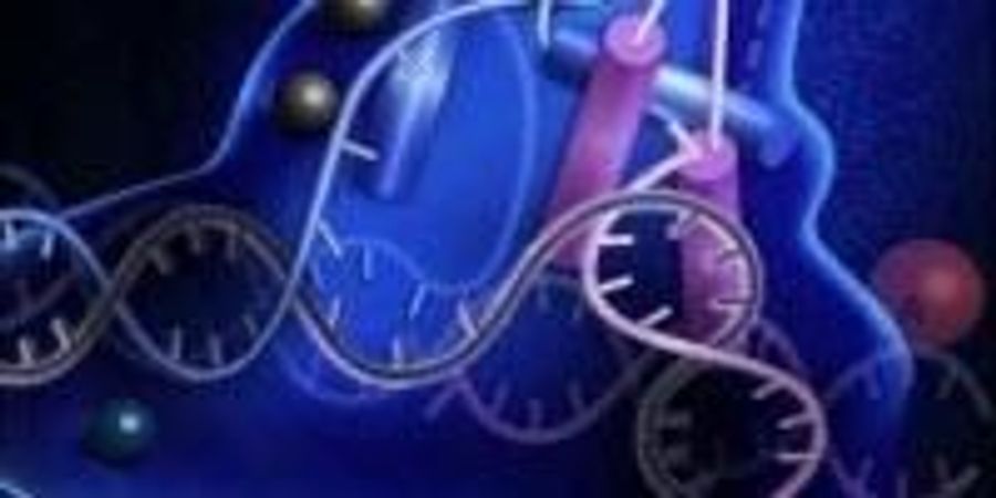 The Carpenter Enzyme Gives DNA the Snip | Lab Manager