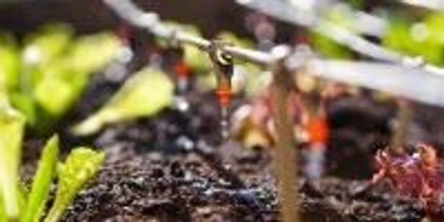 Pioneering Treatment Method Turns Sewage Sludge into Farm-Safe ...