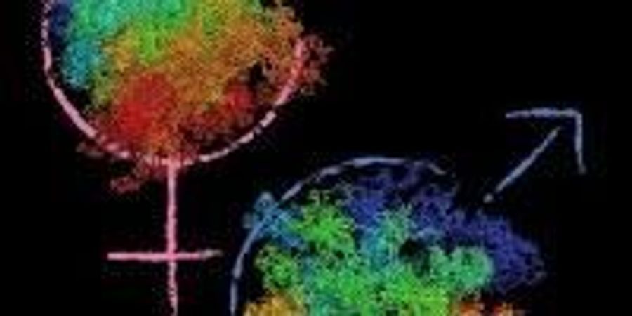 Unique Genome Architectures After Fertilization in Single-Cell Embryos ...