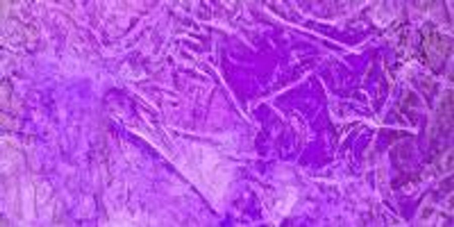 2014-15 Product Resource Guide: Cold Storage | Lab Manager