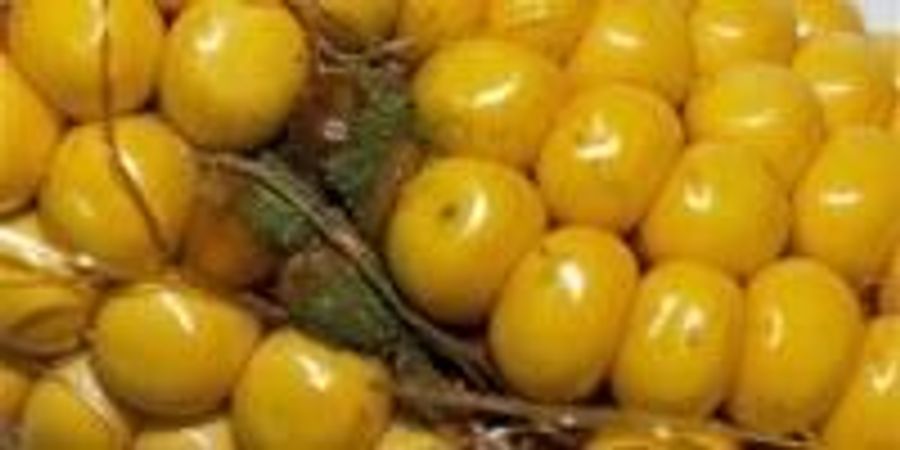 This Small Molecule Could Have a Big Future in Global Food Security ...