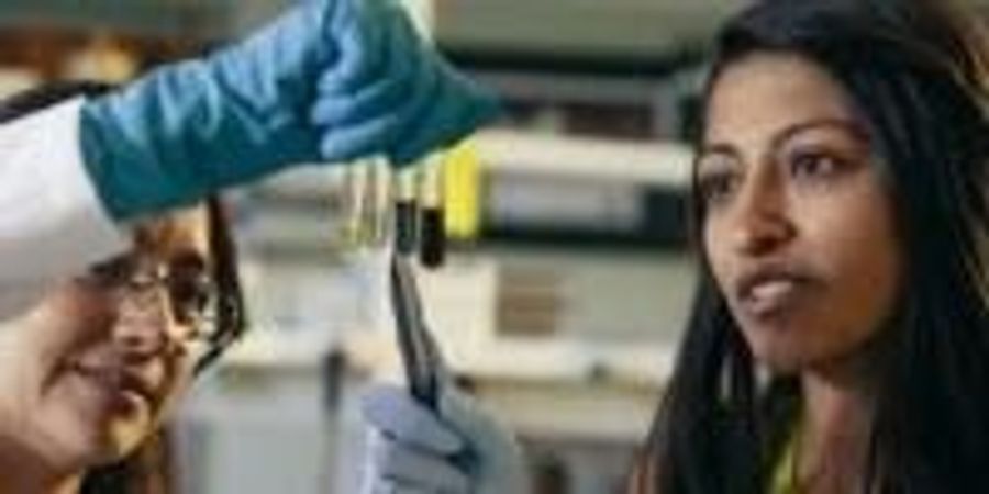 Effects of Weather Variability on Maple Syrup Production Studied | Lab Manager