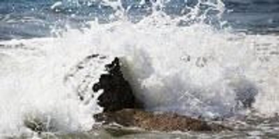 Iron Dissolved by Air Pollution May Increase Ocean Potential to Trap ...