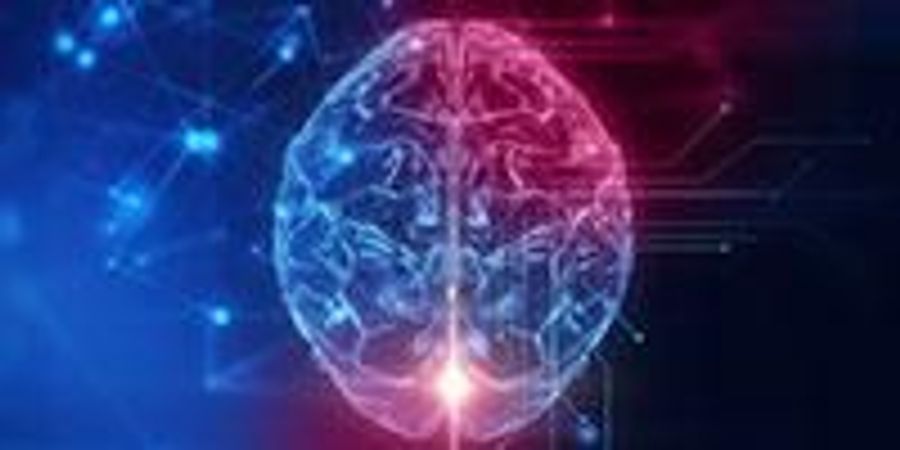 Study Finds New Mechanism to Control Information Flow in the Brain ...