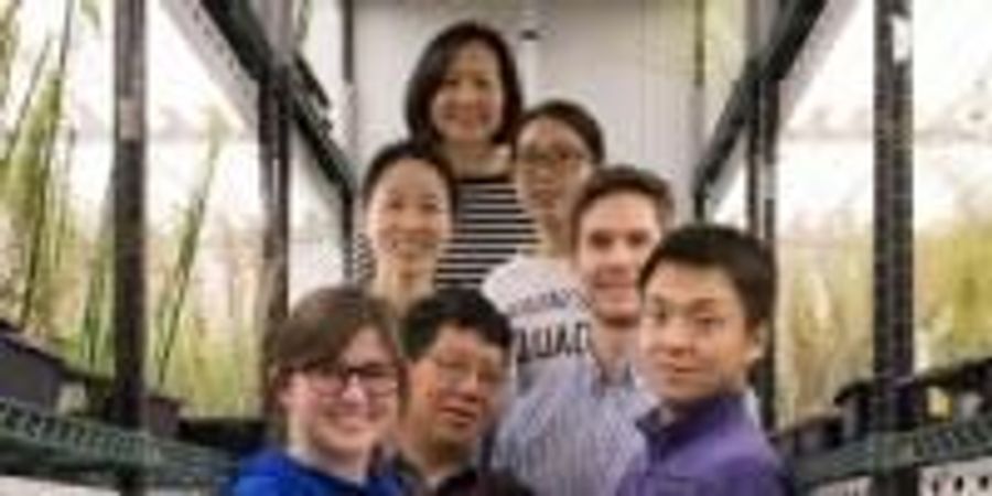 Researchers Detail Genetic Mechanisms That Govern Growth and Drought ...