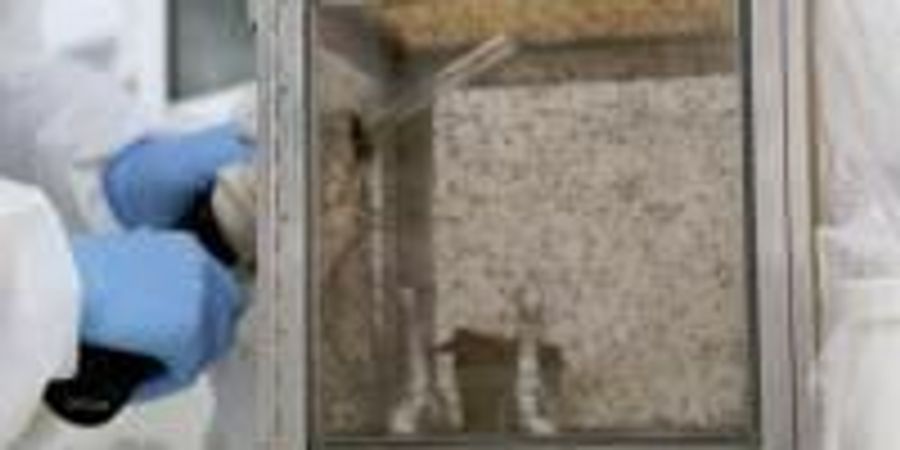 Scientists Uncover How Zika Virus Causes Microcephaly | Lab Manager