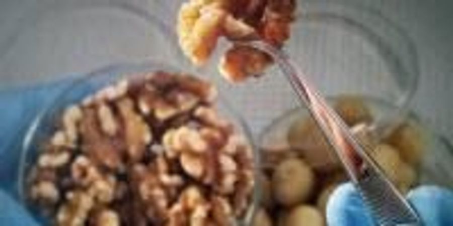 Researchers Gain New Insights Into the Protective Effect of Nuts | Lab ...