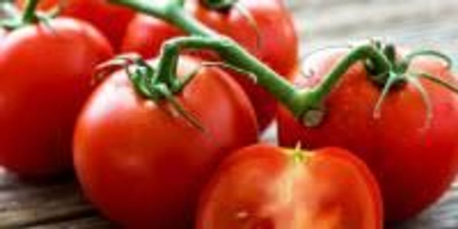 Team Discovers Key to Restoring Great Tomato Flavor | Lab Manager