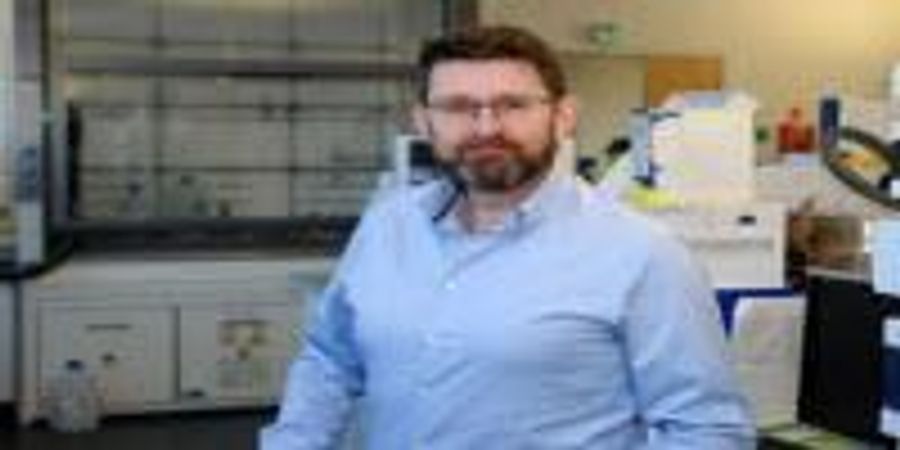 Scientists Develop First Catalyzed Reaction Using Iron Salts | Lab Manager