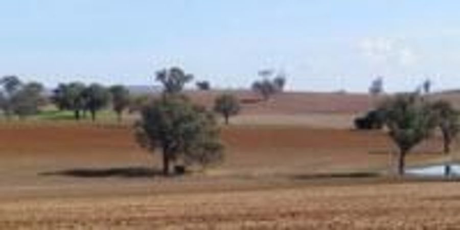 Changing Climate Changes Soils | Lab Manager