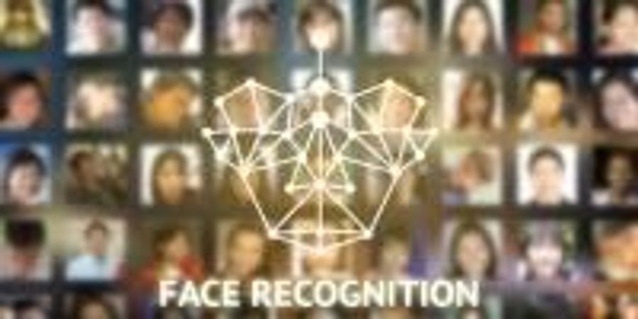 From Sight to Recognition: Researchers Map How the Brain Processes ...