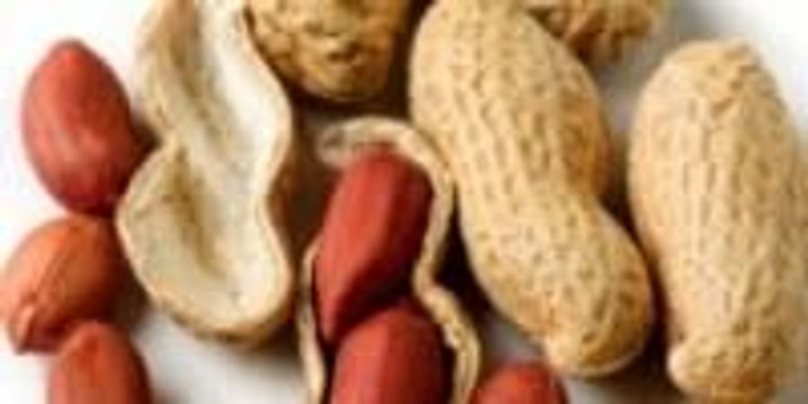 New Guidelines Show How to Introduce Peanut-Containing Foods to Reduce ...