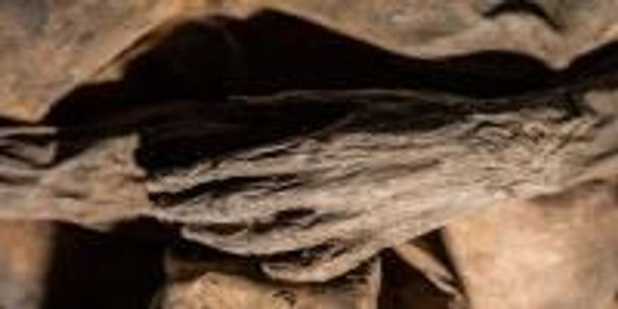 Child Mummy Offers Revised History of Smallpox | Lab Manager