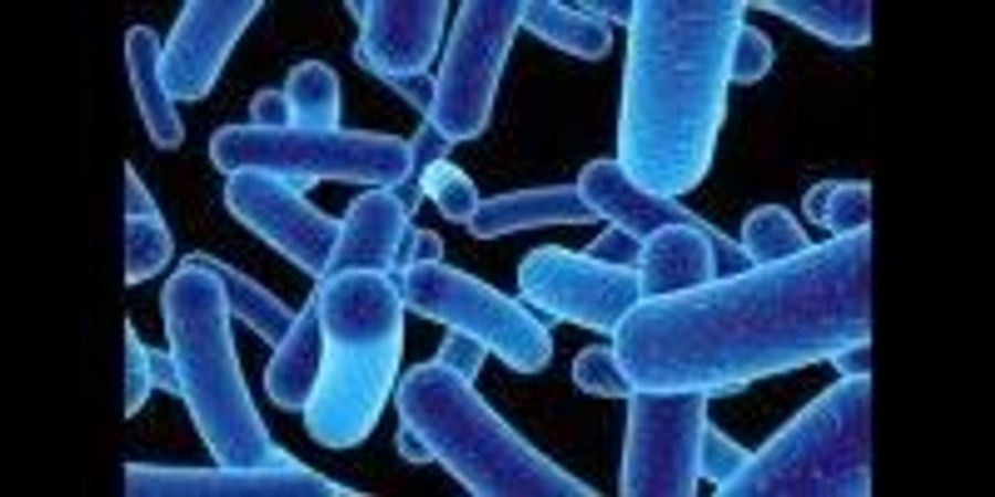 Researchers Estimate Time Since Death Using Necrobiome | Lab Manager