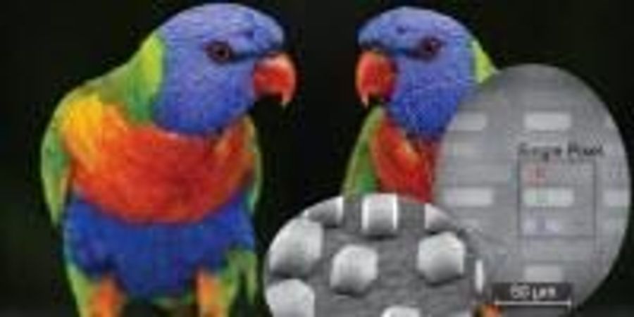 Nanocubes Simplify Printing and Imaging in Color and Infrared | Lab Manager