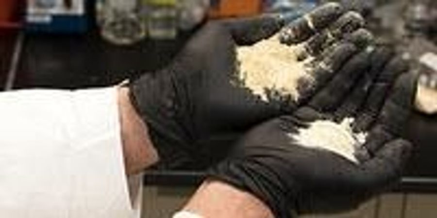 Sawdust Reinvented into Super Sponge for Oil Spills | Lab Manager