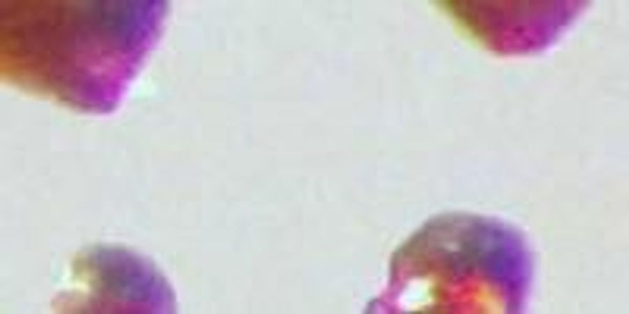 Scientists Create New Compound, First Intermetallic Double Salt with ...