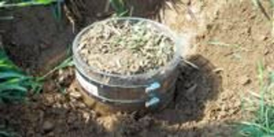 Writing an Equation for Soil Success | Lab Manager