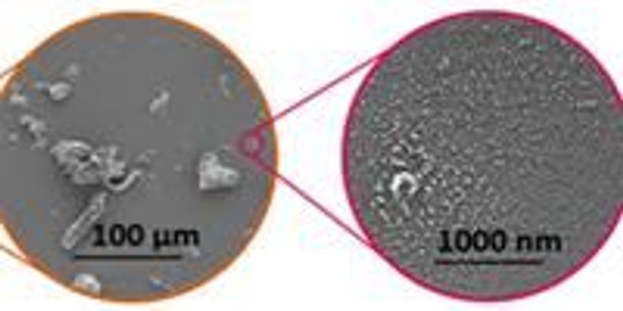 Plastic Teabags Release Billions of Microscopic Particles into Tea ...