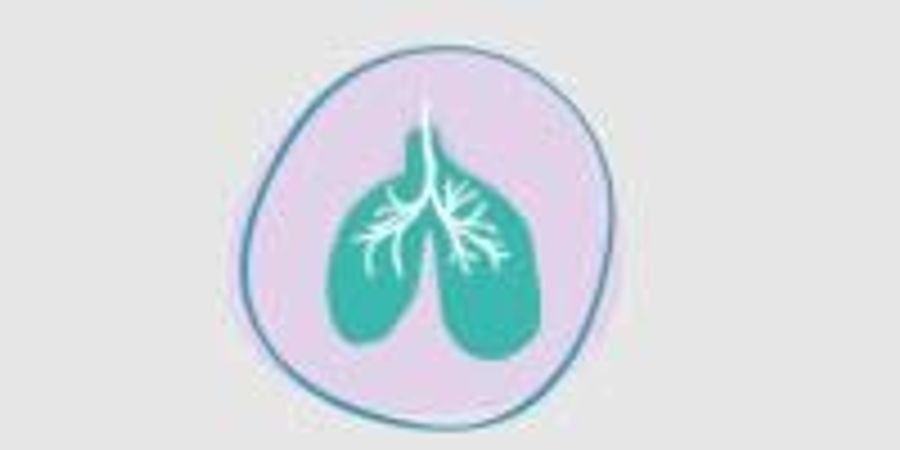 Lab-Grown Human ‘Mini Lungs’ Successfully Engraft in Mice, a ...