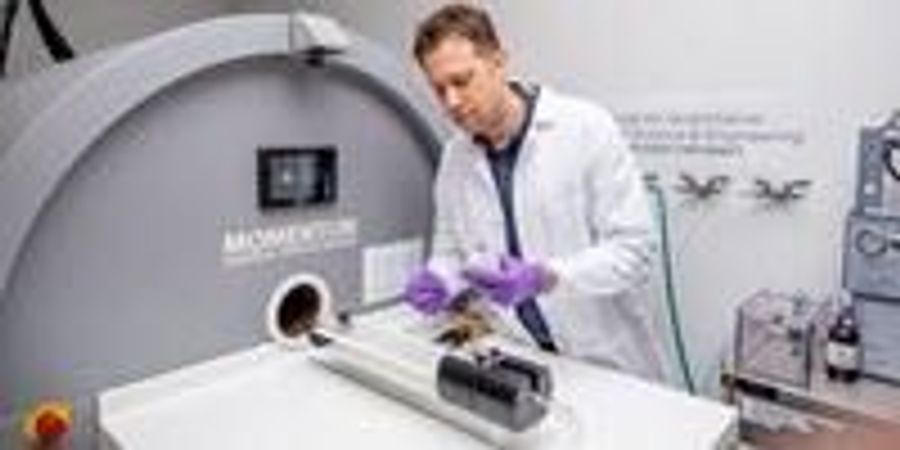 Nanotechnology Improves Chemotherapy Delivery | Lab Manager