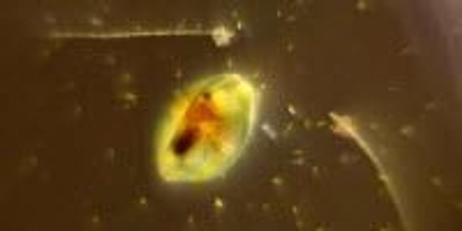 Technology Allows Smartphone-Based Water Testing | Lab Manager