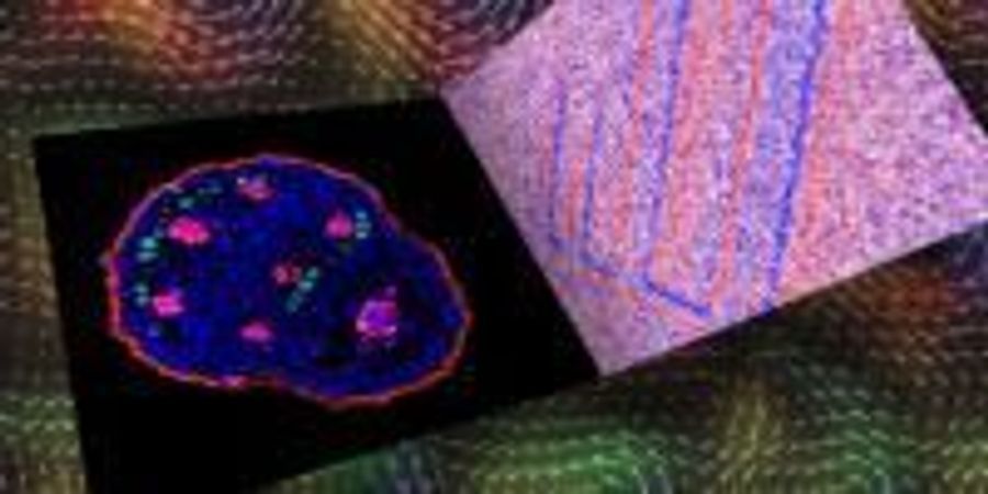 Integrated Imaging Institute Helps Innovators Envision Success | Lab ...