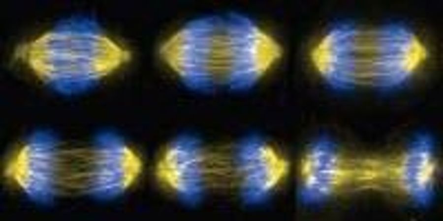 Measuring the Forces of Biology | Lab Manager