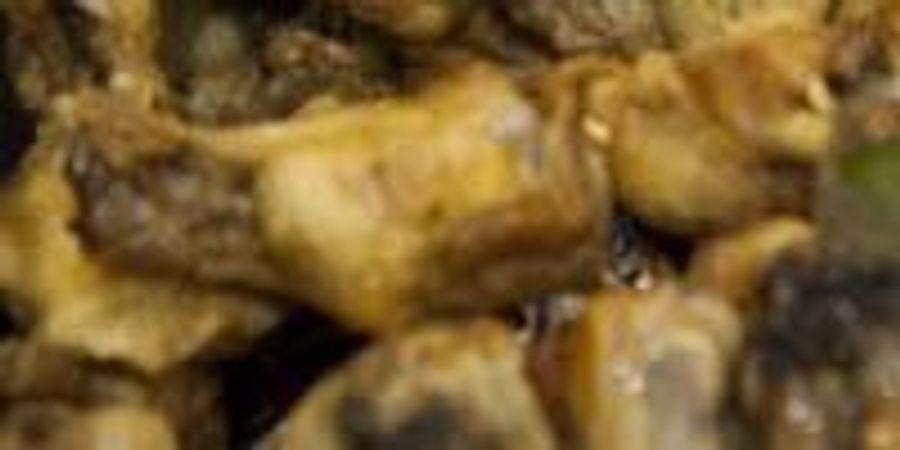 Team Finds Faster, Better Way to Detect Salmonella in Meat, Chicken ...