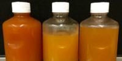 Microbiology Articles | Lab Manager | Page 13