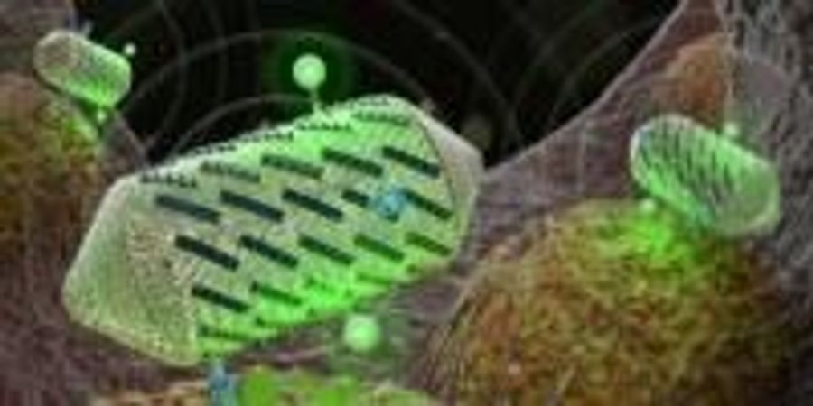 Designing Ultrasound Tools with Lego-Like Proteins | Lab Manager