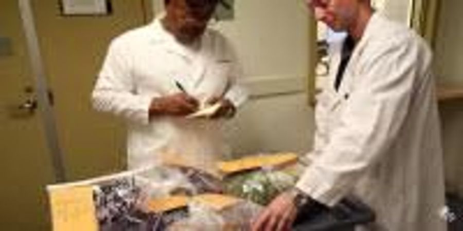 The Science of Spotting Fake Foods (Video) | Lab Manager