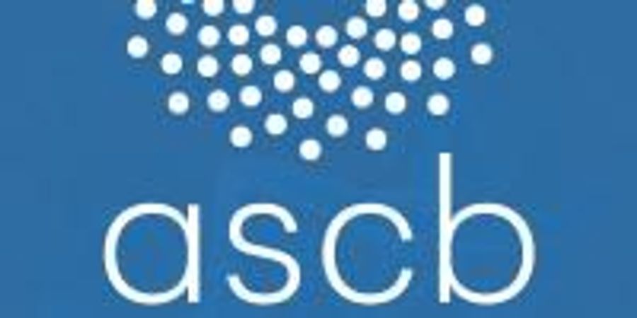 Persistence Makes the Difference in Minority Participation in Science ...