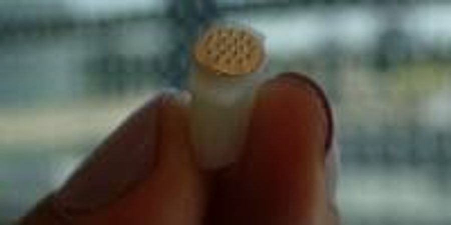 Scientists Develop Painless and Inexpensive Microneedle System to ...