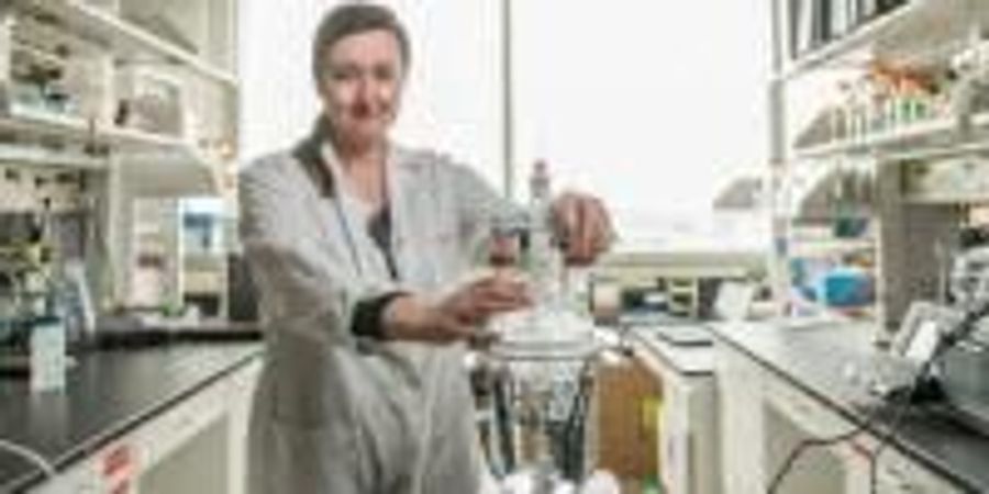 Patented Bioelectrodes Use Bacteria to Generate Electricity | Lab Manager