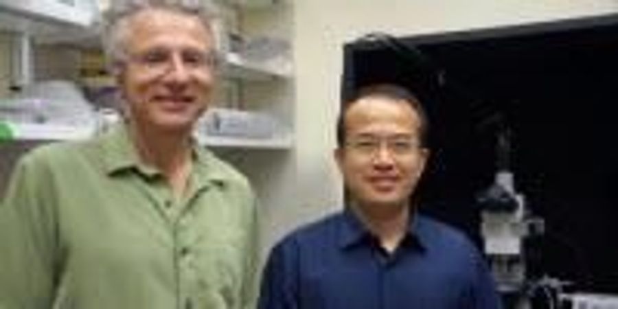 Biologists Gain Better Understanding of How Food Texture is Sensed ...