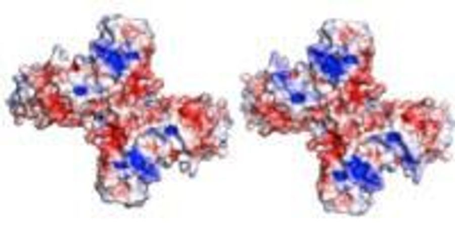 Researchers 'Solve' Key Zika Virus Protein Structure | Lab Manager