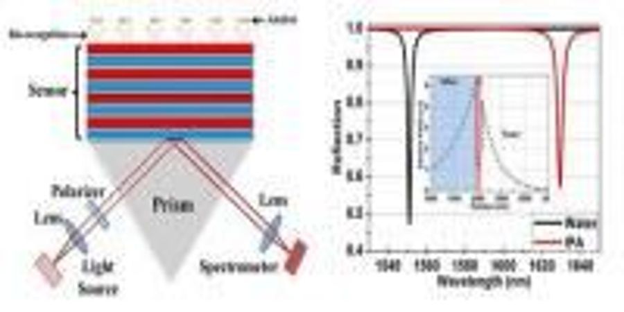 Highly Sensitive Devices for the Detection of Biological and Chemical ...