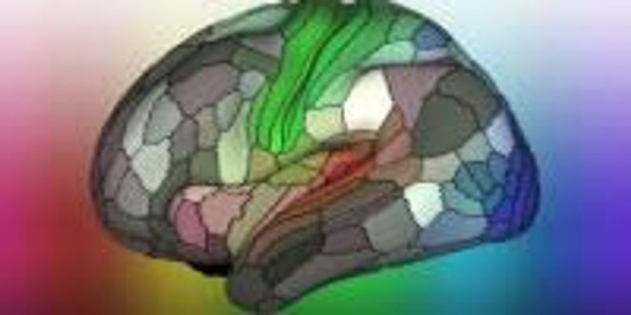Map Provides Detailed Picture of How the Brain Is Organized | Lab Manager