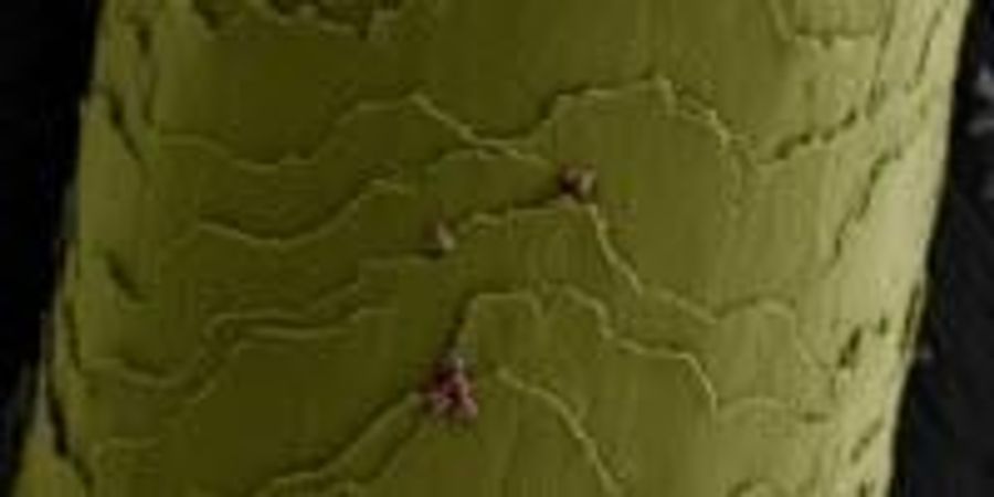 Chemists Create Microscopic and Malleable Building Blocks | Lab Manager