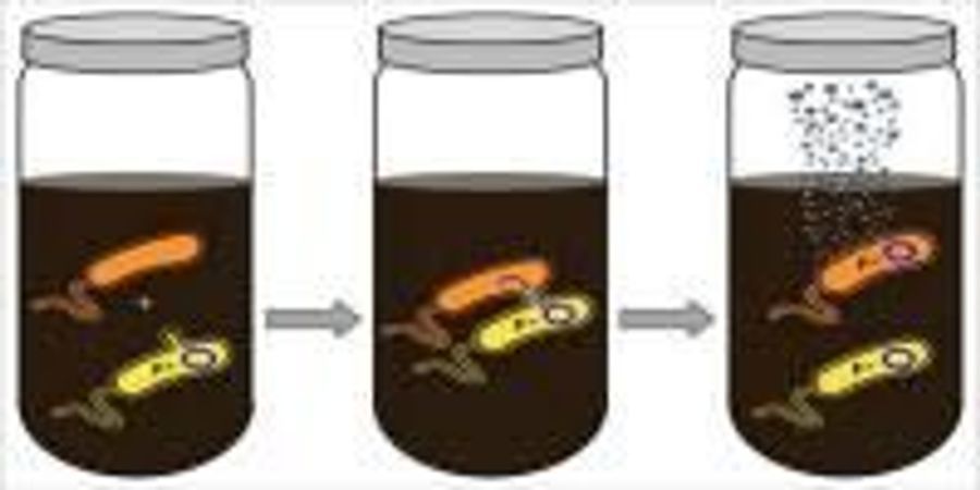Gas Sensors 'See' Through Soil to Analyze Microbial Interactions | Lab ...