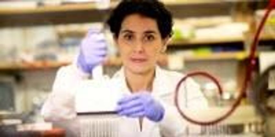 Biologist Developing 3-D Computer Model of a Full Animal, Cell by Cell ...